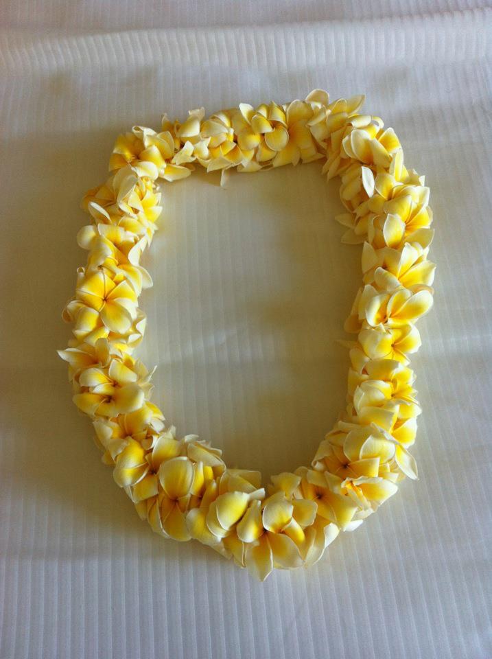 How to wear a lei – AbFabSkyLife's Adventures in Travel